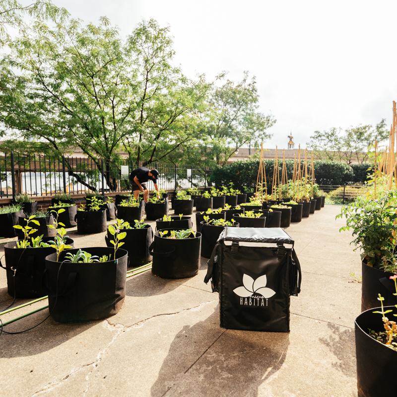 URBAN FARMING WITH MICROHABITAT